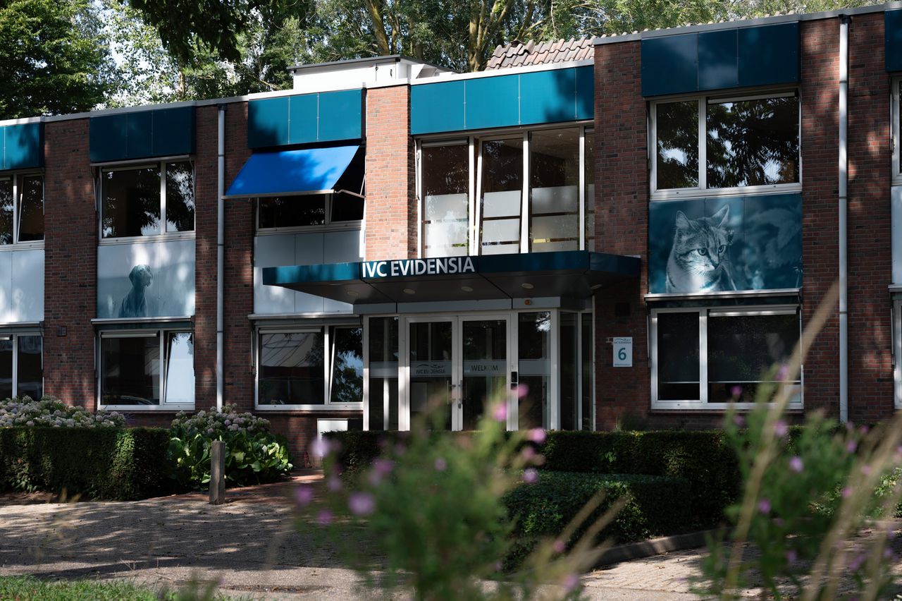 Incesto telegra she’s even more stunning than the pictures,