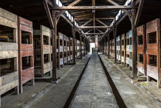 Noem je Auschwitz een ‘Pools kamp’? 5 jaar celstraf - NRC