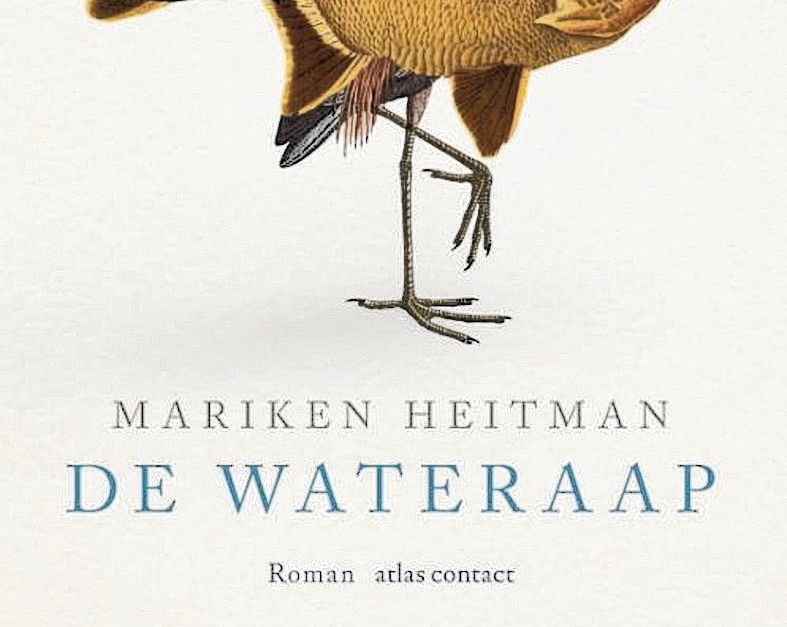 En toen verscheen tussen mens en aap de wateraap - NRC