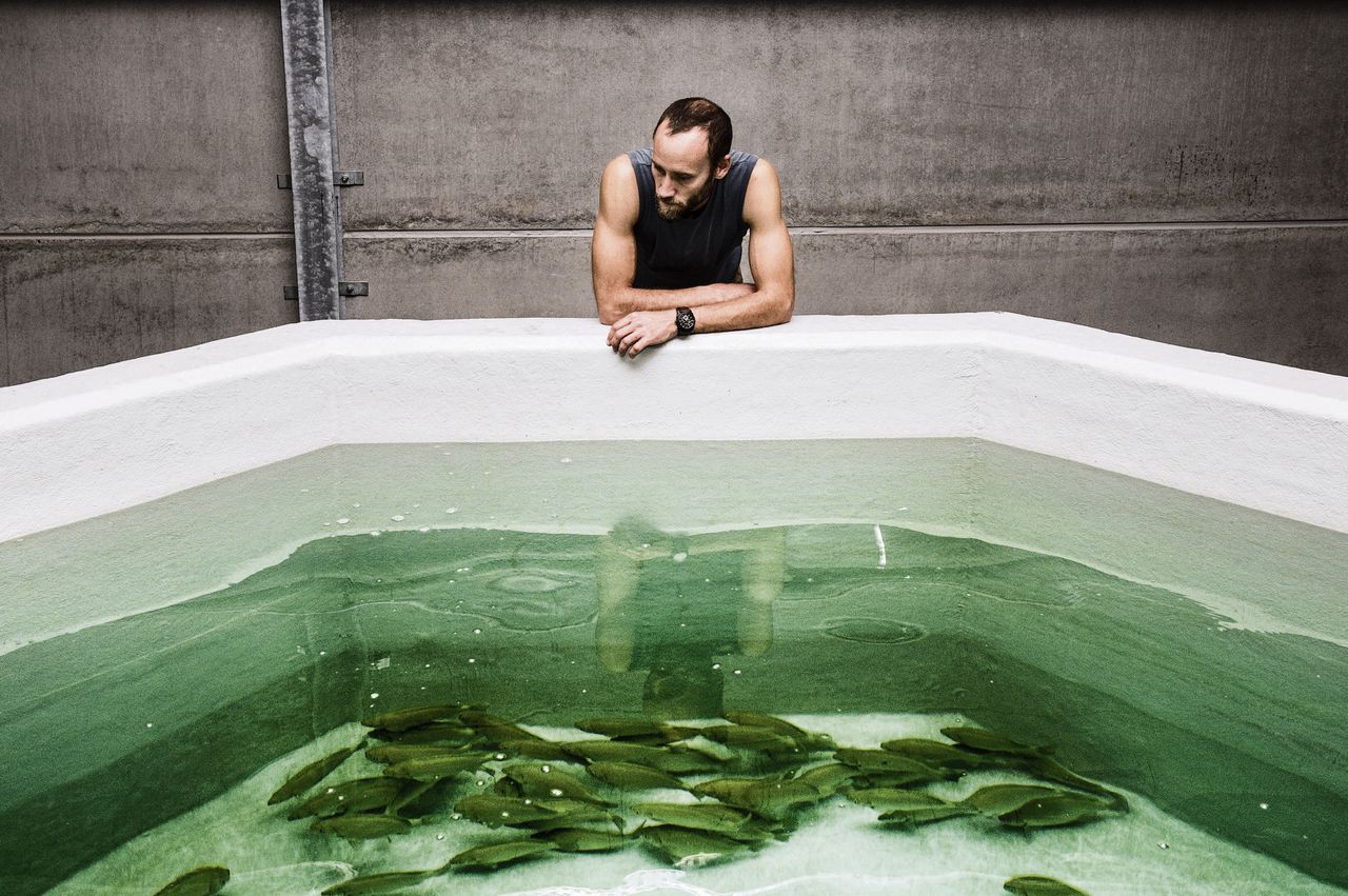 Vegetarische vis: mooi maar moeilijk - NRC