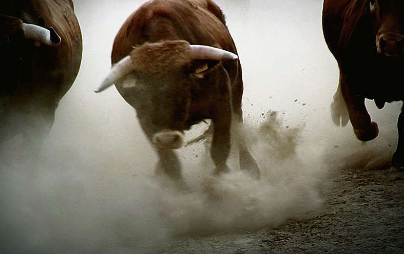 Rennen met stieren - NRC