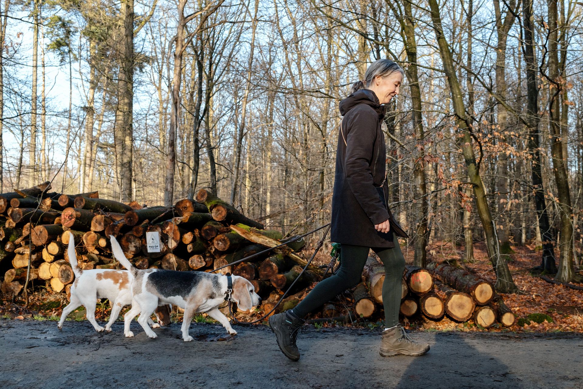 Hondenpoep in het Ulvenhoutse bos is de stikstofcrisis in het klein - NRC