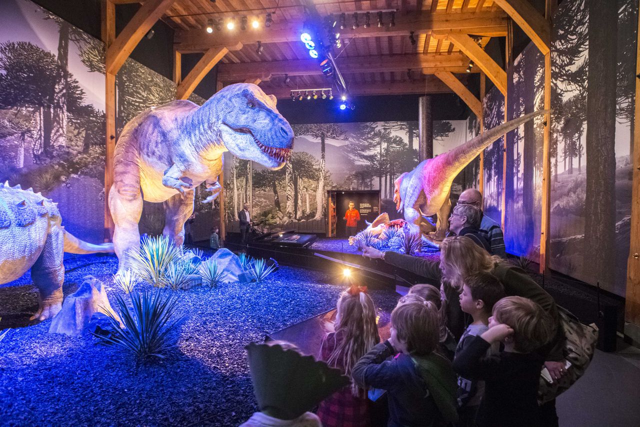 Verbouwing Naturalis moet voorlopig stoppen - NRC