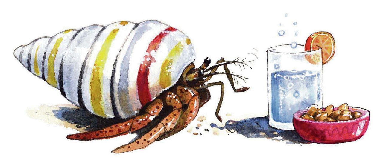 Eten ruiken met je haren - NRC