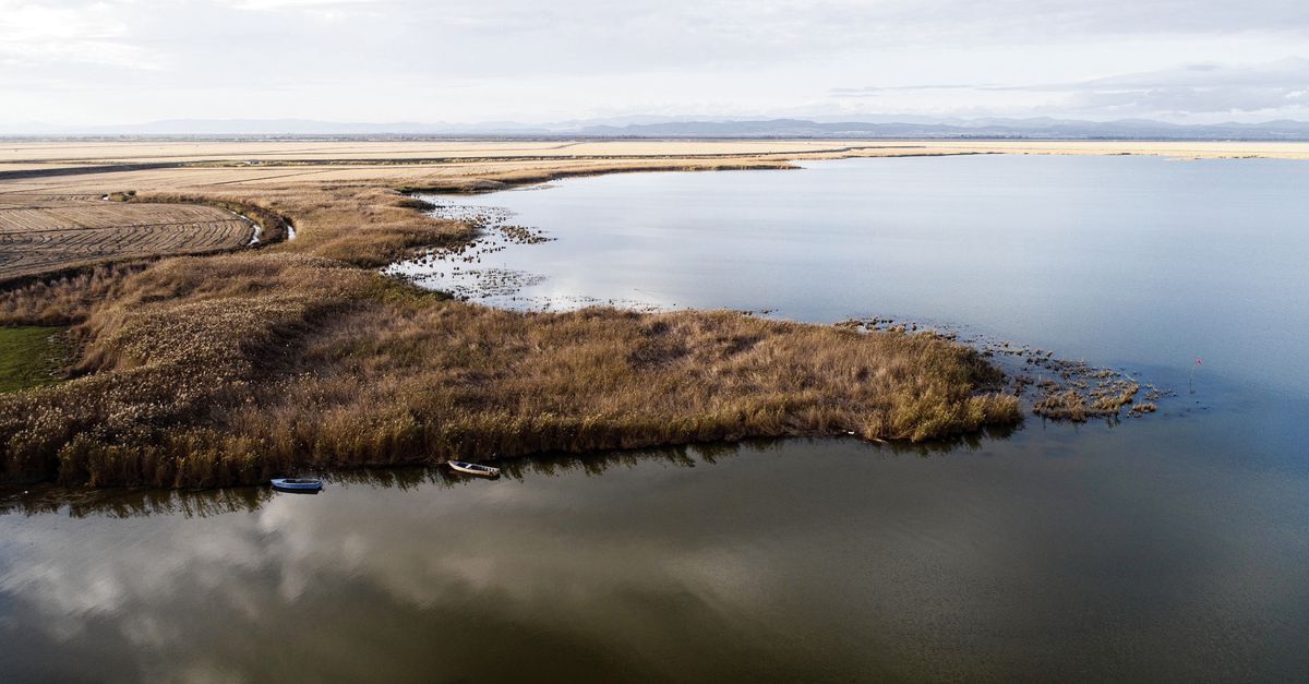 Broeikasgas methaan piekte in warm en nat 2020 – met een verrassende ...