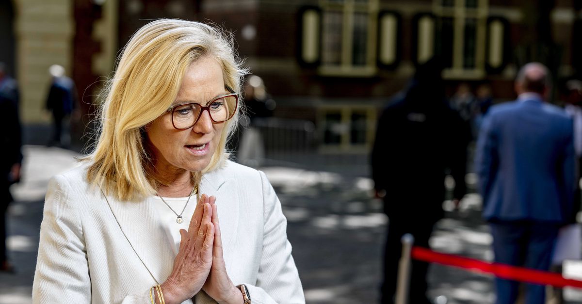 Bedreiging van familielid ‘werkt als een olievlek’: alle naasten raken ...