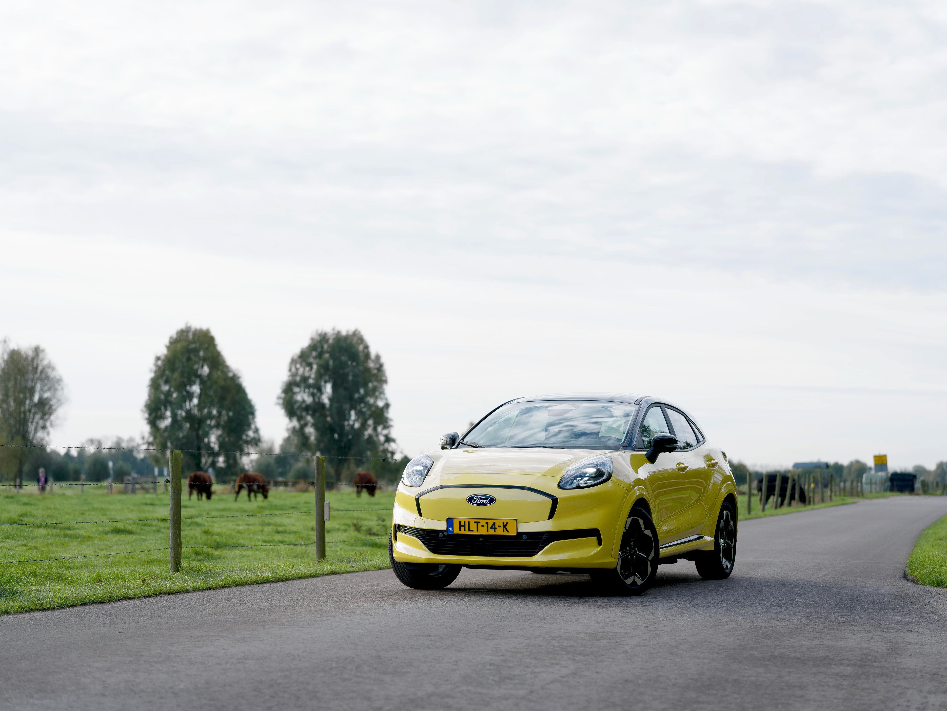De elektrische Ford Puma is een droomauto voor de buitenmens - NRC