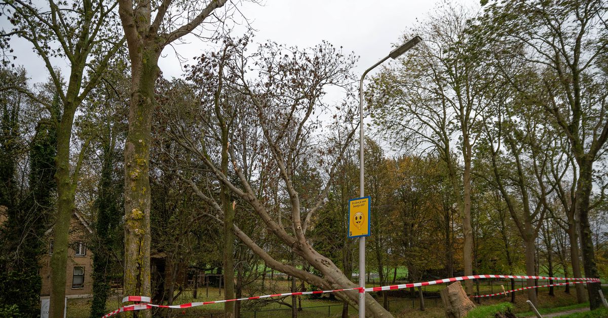 Code geel voor Noord- en Zuid-Holland vanwege hevige regenval na storm ...