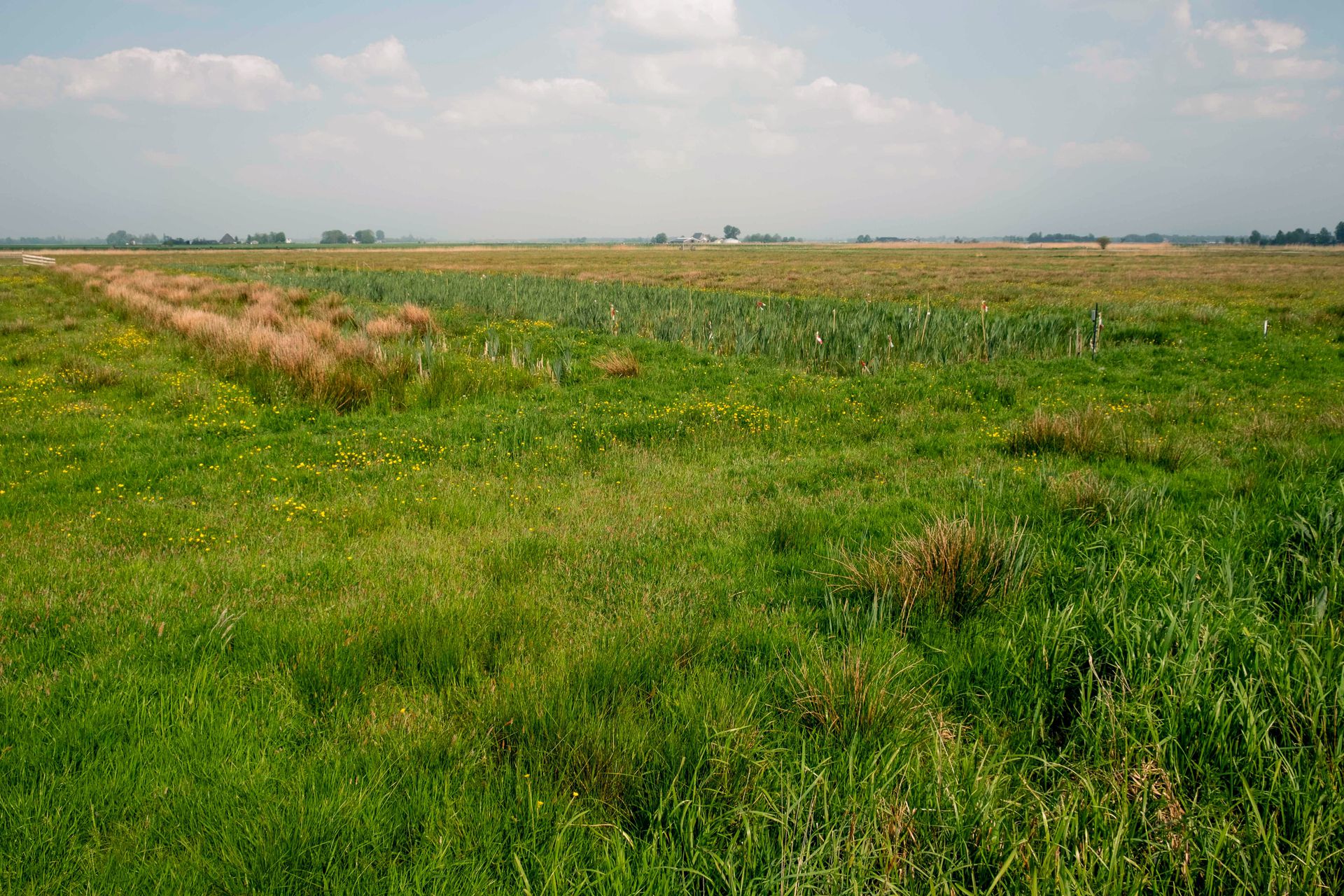 Nederland zakt door het droge veen - NRC