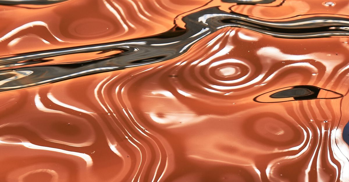 De wereld wordt een bloep – op de Amsterdamse grachten - NRC