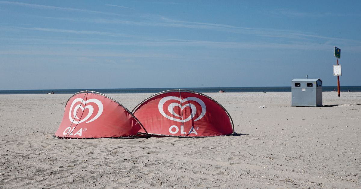 Voor Unilever-topman Alan Jope is het erop of eronder - NRC