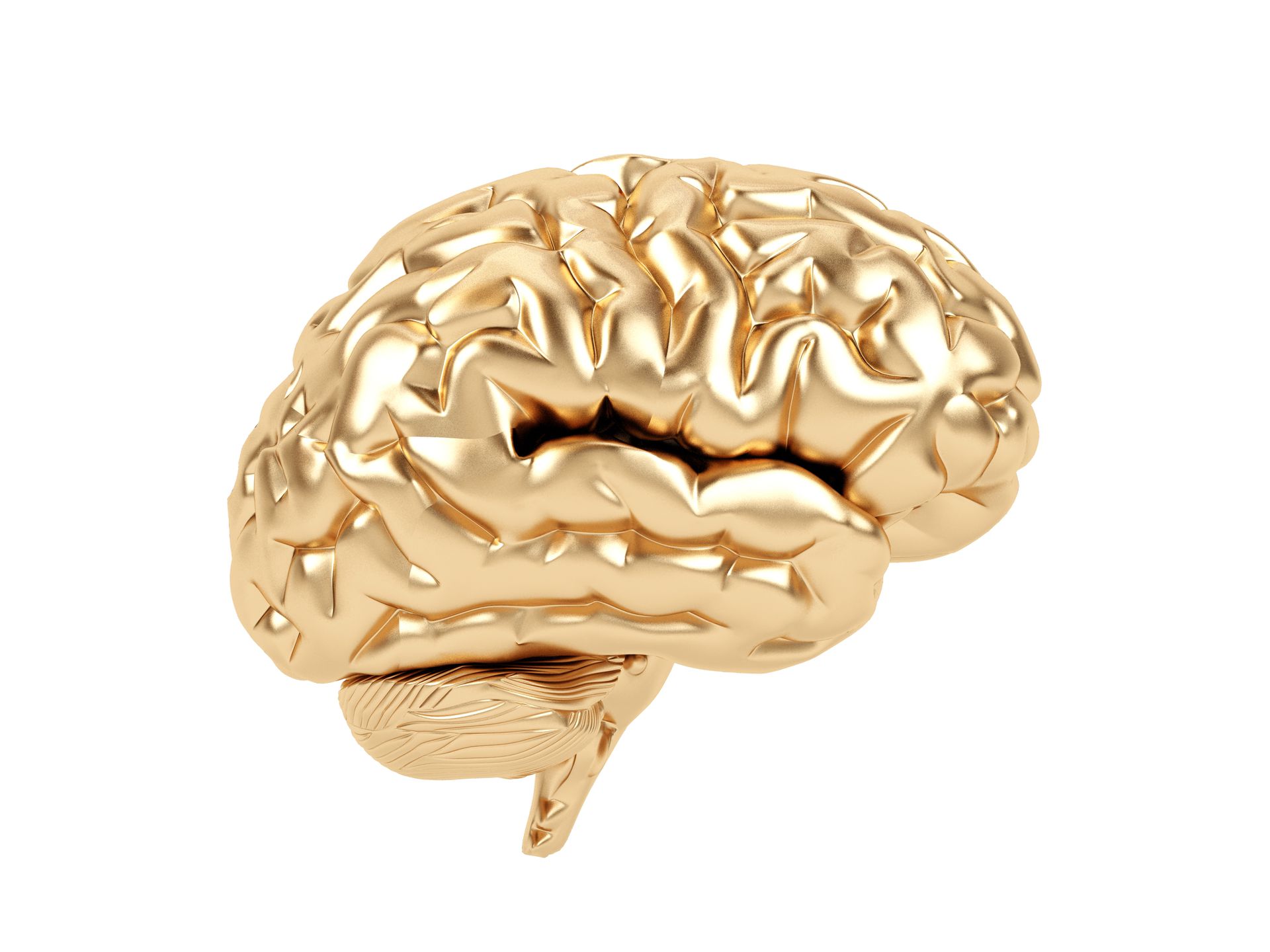 Het brein laat zich (niet) kennen - NRC