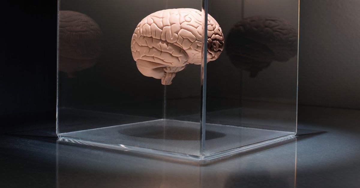 Computers die je met je brein kunt aansturen krijgen grote investering ...