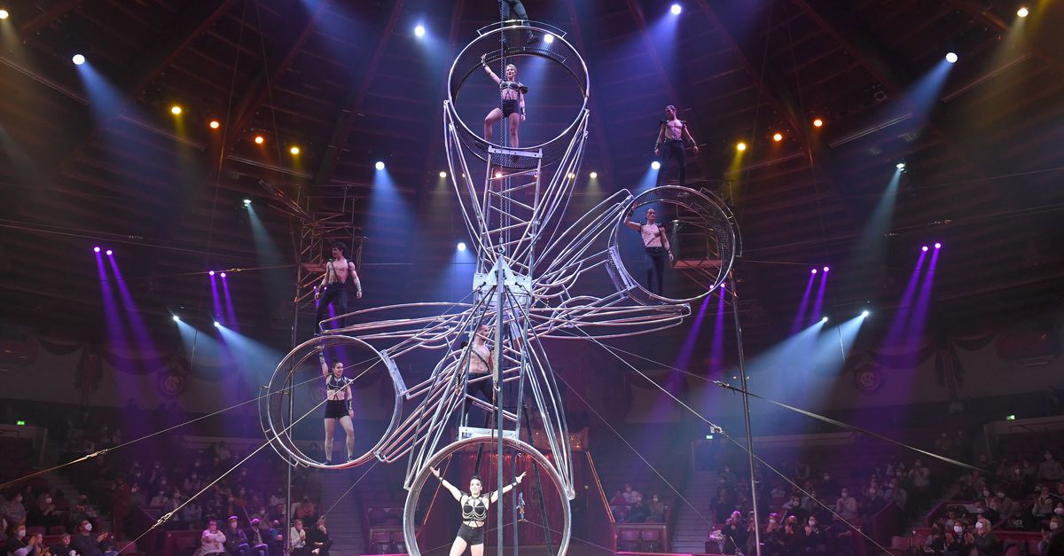 Christmas Circus: No Liability in Acrobat's 'Rad of Death' Injury – Archyde