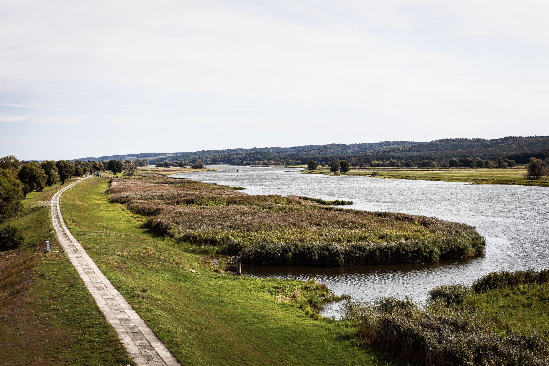Aan de Oder liggen politiek en natuur dicht bij elkaar - NRC