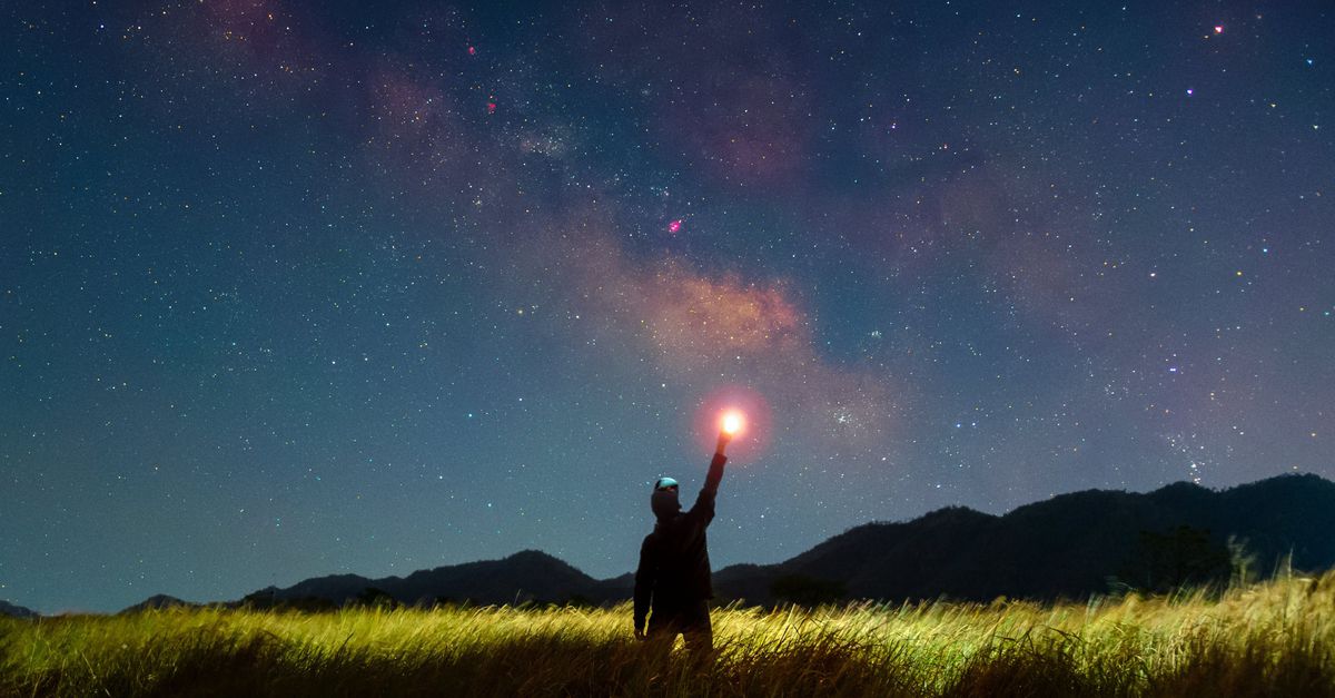 Lieke Marsman schreef een razend inspirerend pleidooi voor openheid - NRC