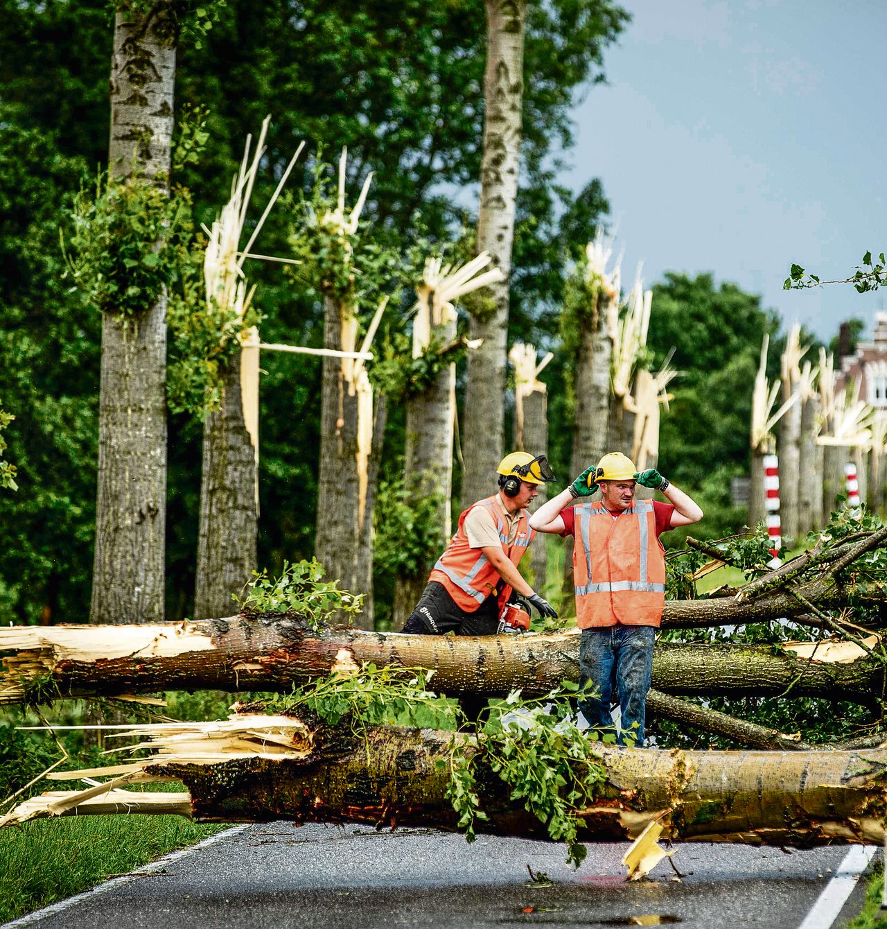 Geknapt door een valwind - NRC