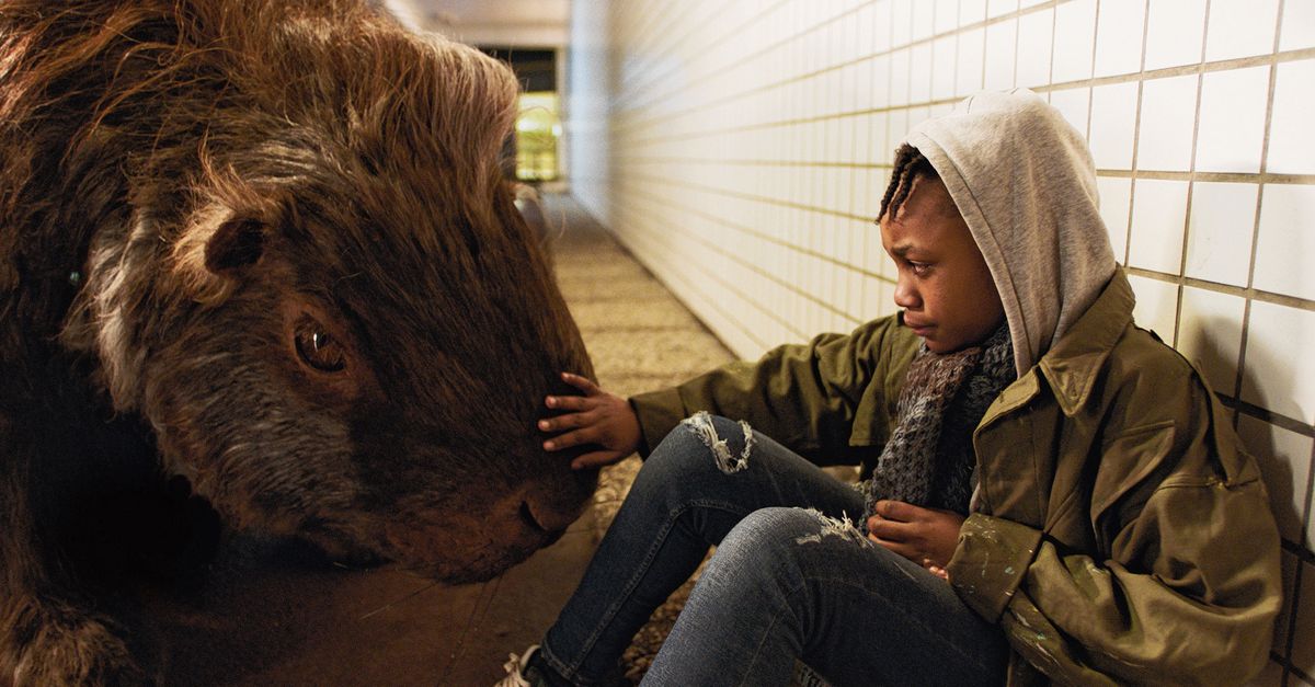 Cinekid: waar een taboe is, zit een onderwerp - NRC