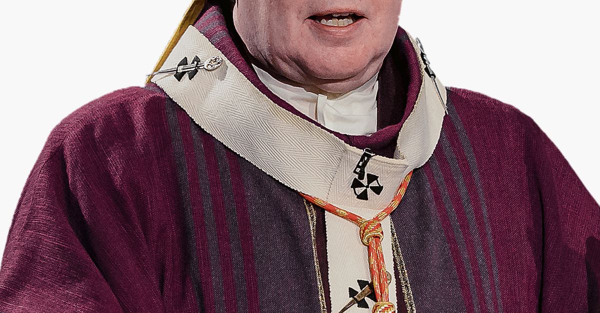 Kardinaal Wim Eijk, de baas van vrijwel niets - NRC