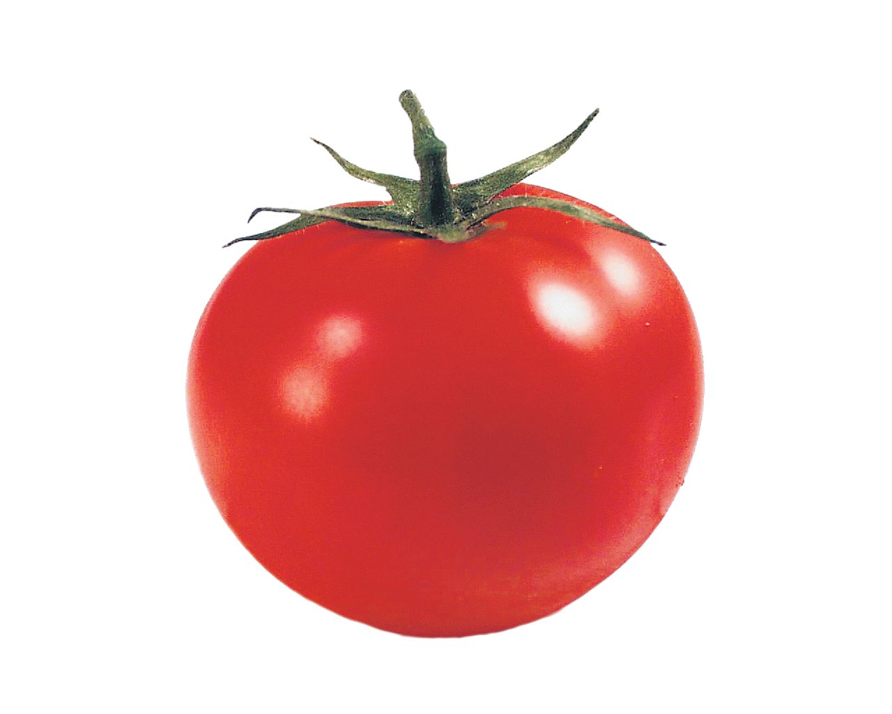 Hoe groeit een tomaat? - NRC