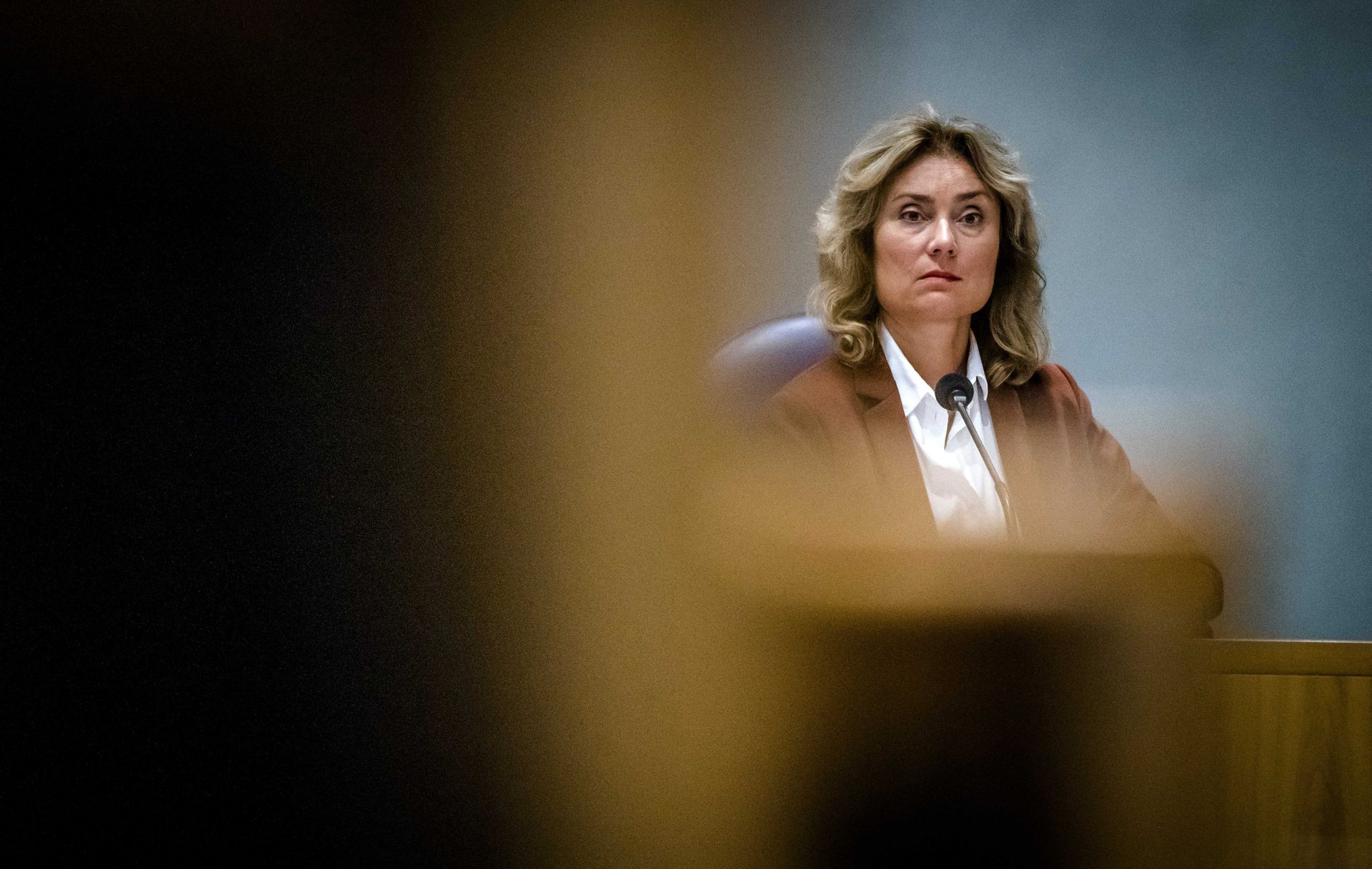 Bergkamp: Onderzoek naar oud-voorzitter Arib gaat door, ondanks haar ...