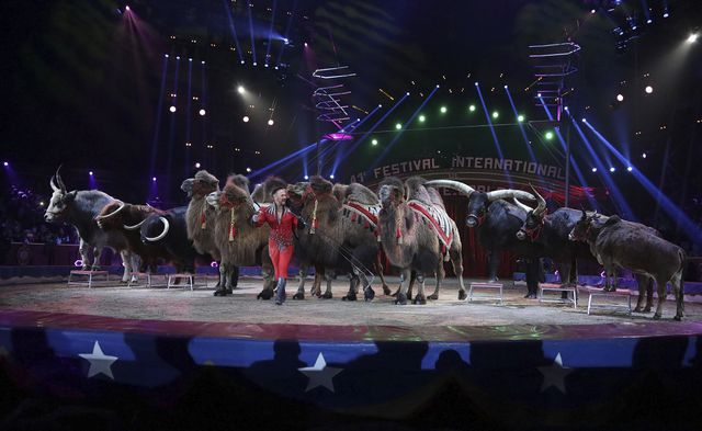 Monte-Carlo Circus Festival - NRC