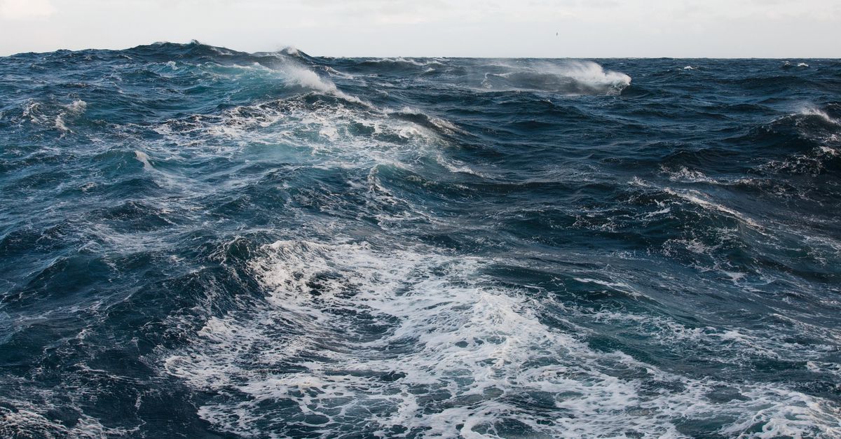 Nog nooit was de Atlantische Oceaan zo warm, maar over de oorzaak zijn ...