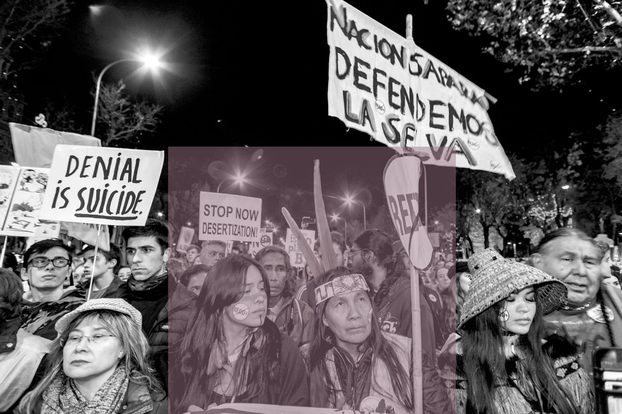 Opinie | ‘Mensen kunnen de natuur ook versterken, veel inheemse ...