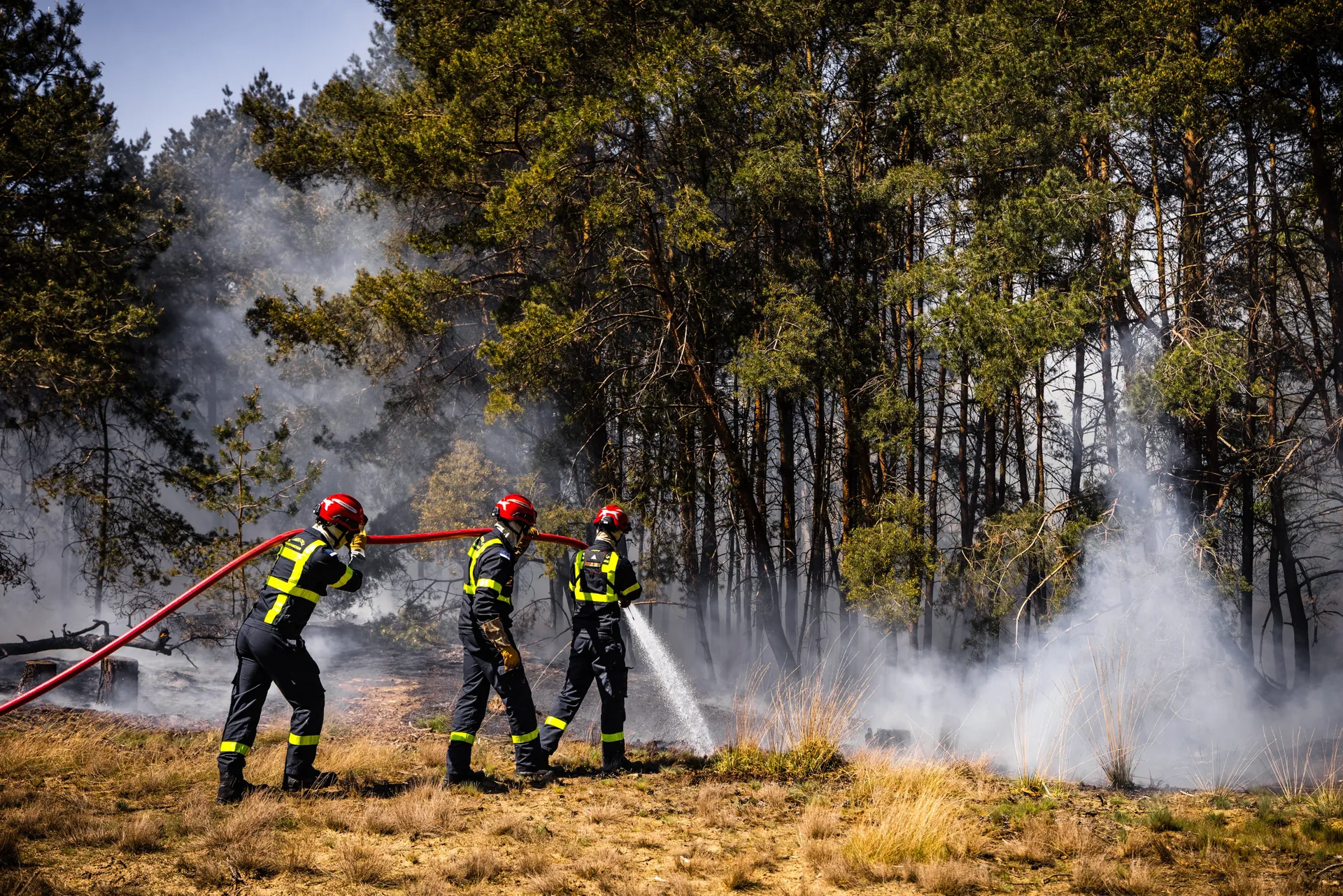 Natuurbrand in ’t Harde onder controle: brandweer geeft sein ‘brand ...