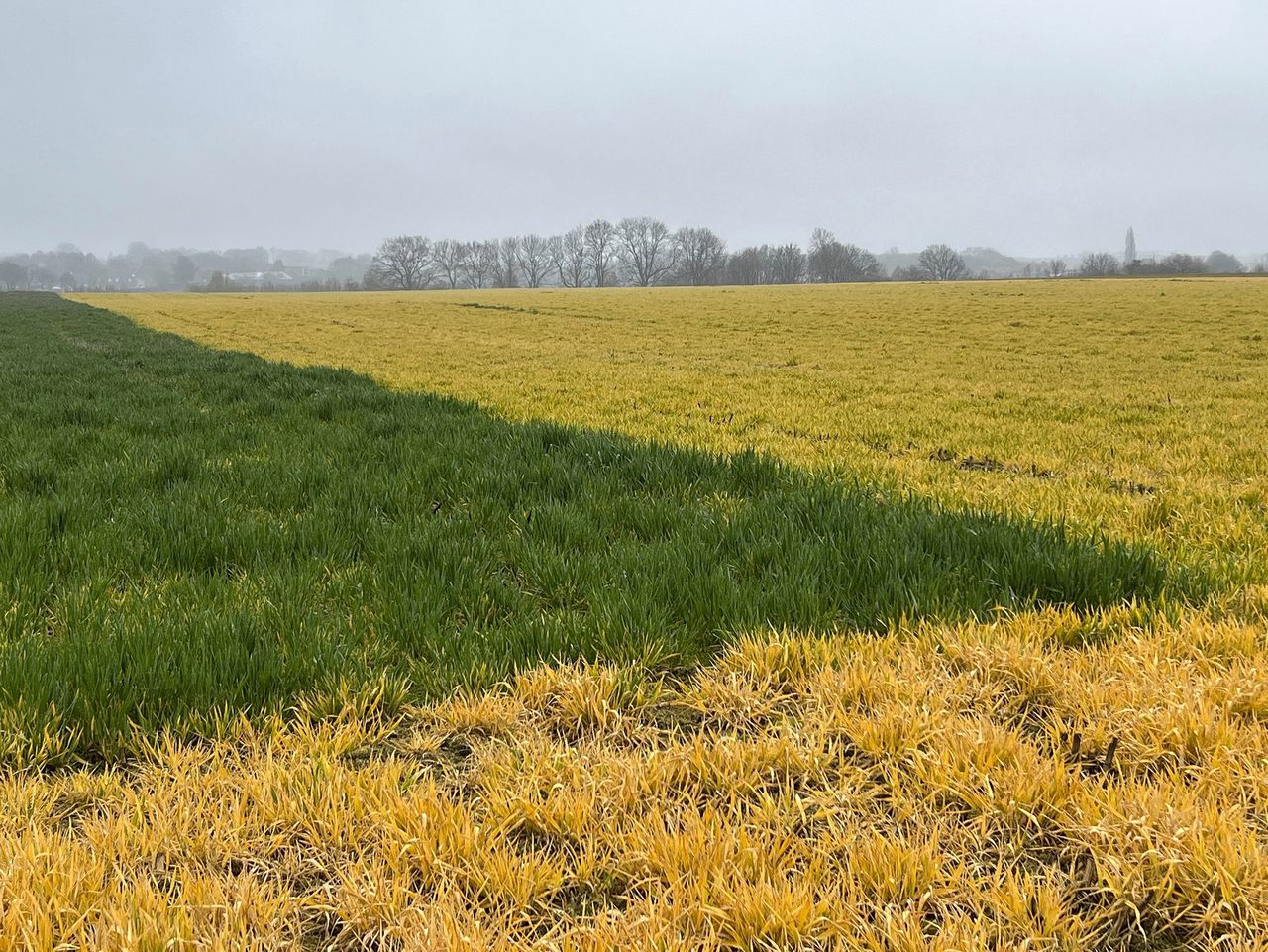 Opinie | Zaai geen nodeloze paniek: sta glyfosaat toe - NRC