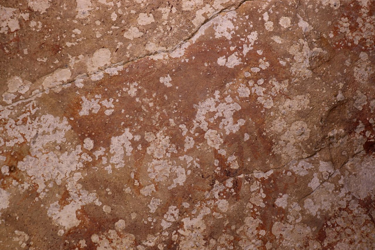 Het oudste verhaal ter wereld werd 50.000 jaar geleden getekend in een ...