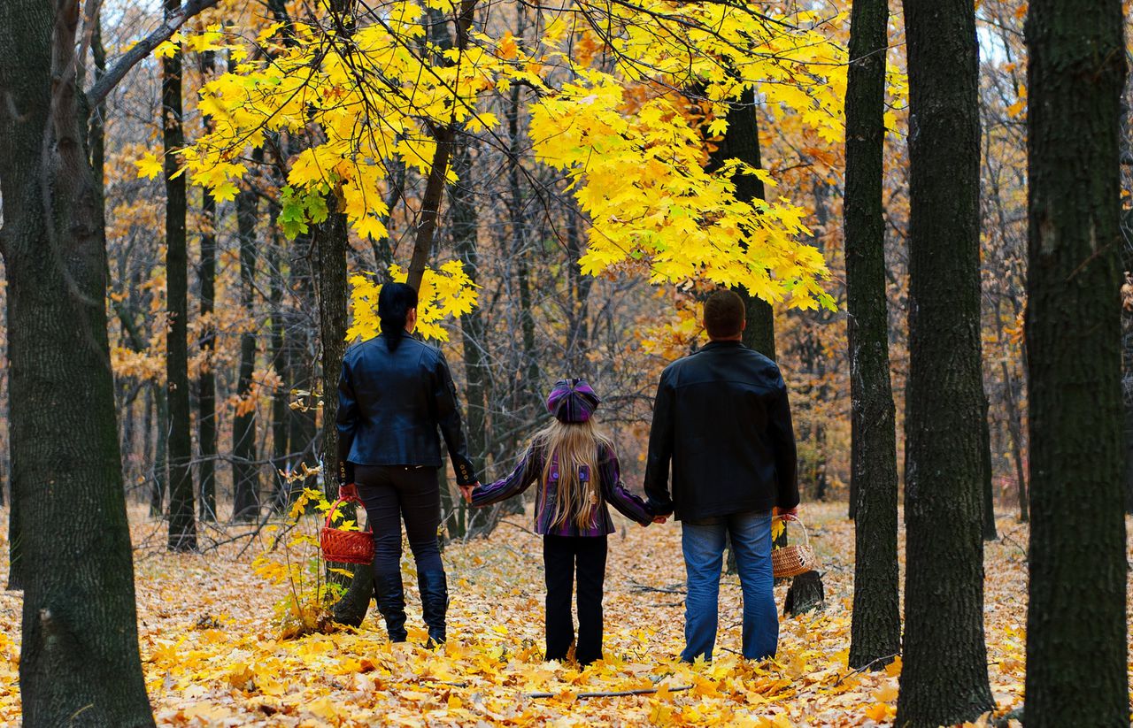 ‘Pleegouders stopten vooral vanwege problematisch zorgsysteem’ - NRC