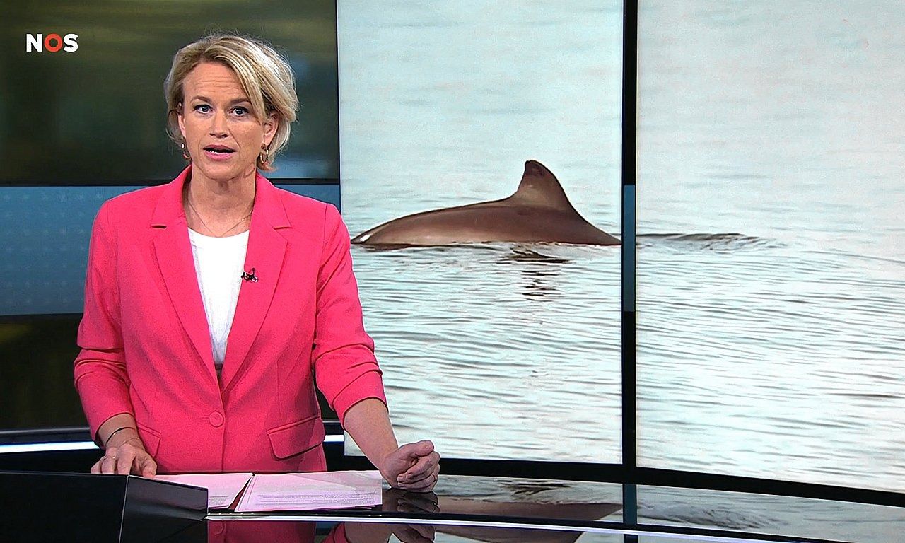 Tv-recensie | Weinig jeu in Journaal in Makkelijke Taal - en dat is de bedoeling - NRC