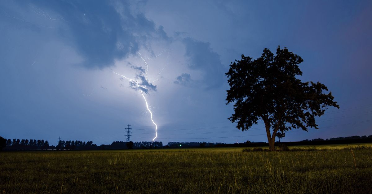 Elke seconde slaan er vijfenveertig bliksemschichten in maar niemand ...