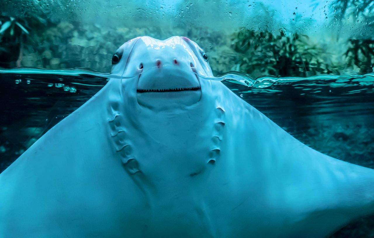 Dit zijn de winnaars van de NRC Fotowedstrijd van augustus