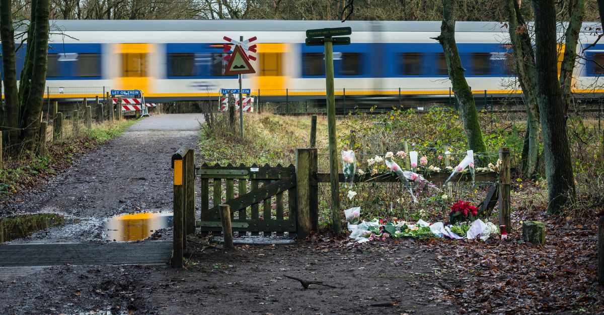 OM zegt second opinion naar doodsoorzaak Dascha Graafsma toe - NRC
