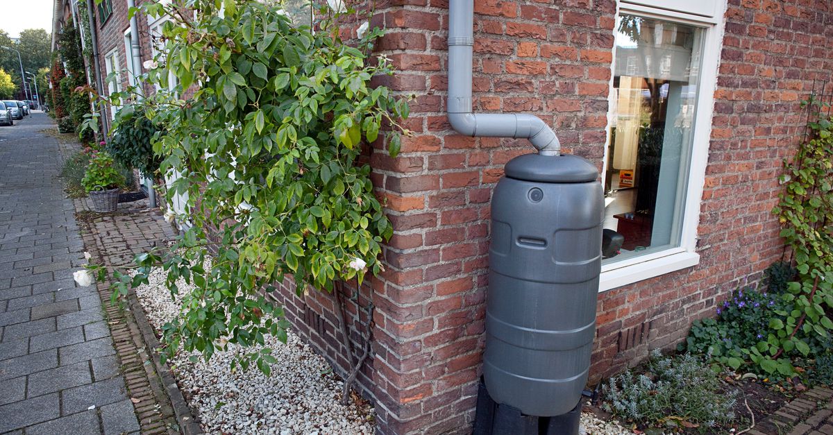 Opinie | Nederland moet zijn grondwater beter beheren - NRC