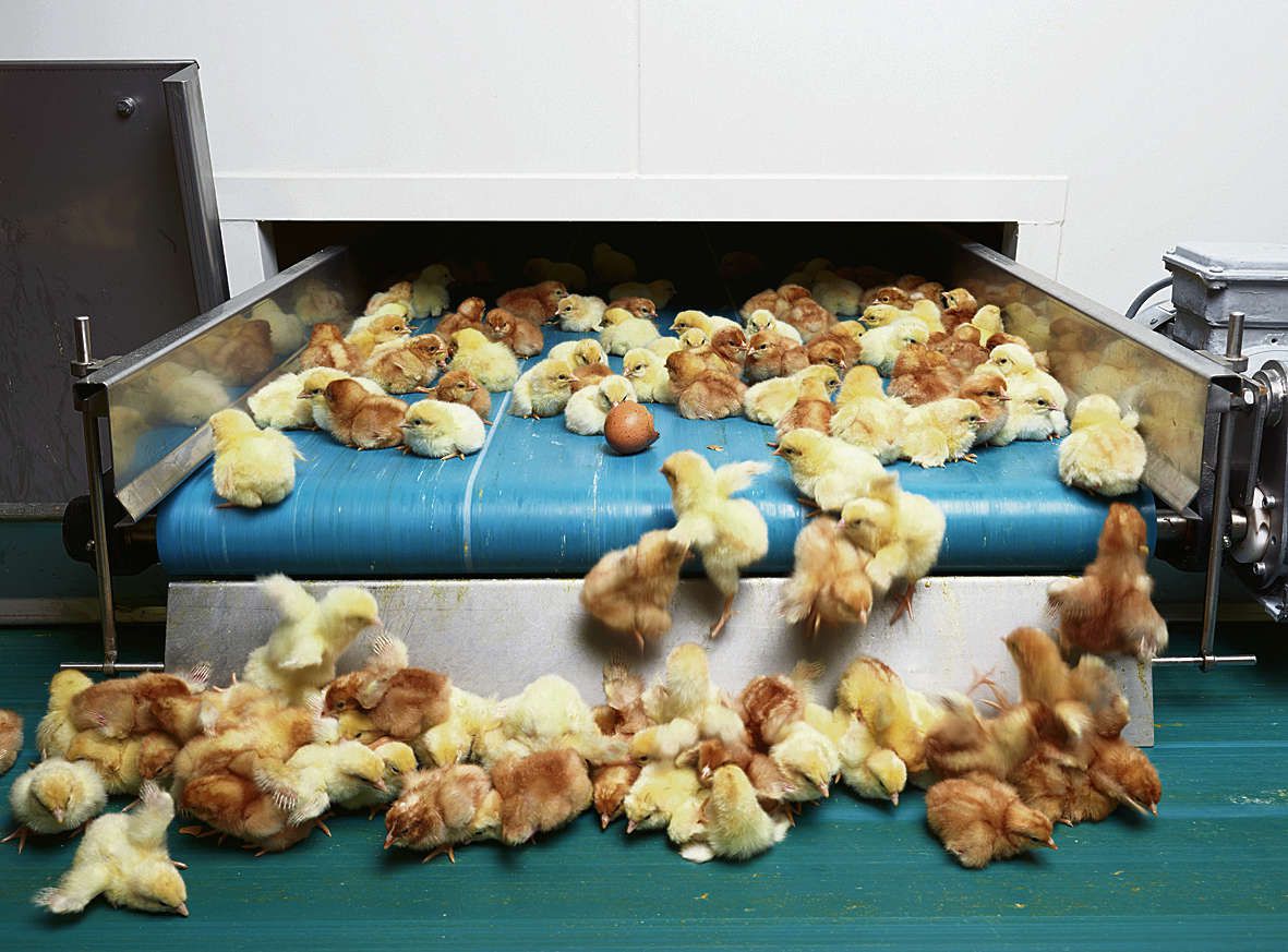 Halffabrikaat Unfinished product - NRC