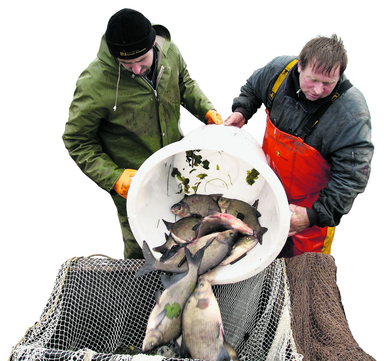 De griet is wel een dubieus visje - NRC