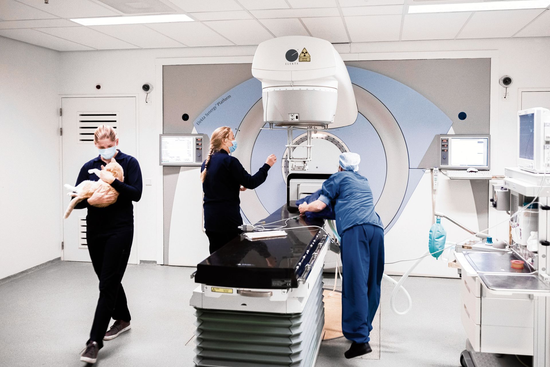 Na zestien bestralingen ging het weer beter met hond Vaya - NRC