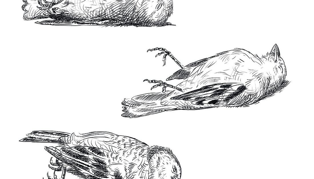 Joshua’s volstrekt authentieke stem maakt de young-adulttrilogie van ...