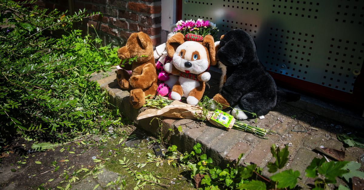 ‘Pleegmeisje uit Vlaardingen herstelt nooit meer: ze kan niet praten, niet staan, niet lopen’ - NRC