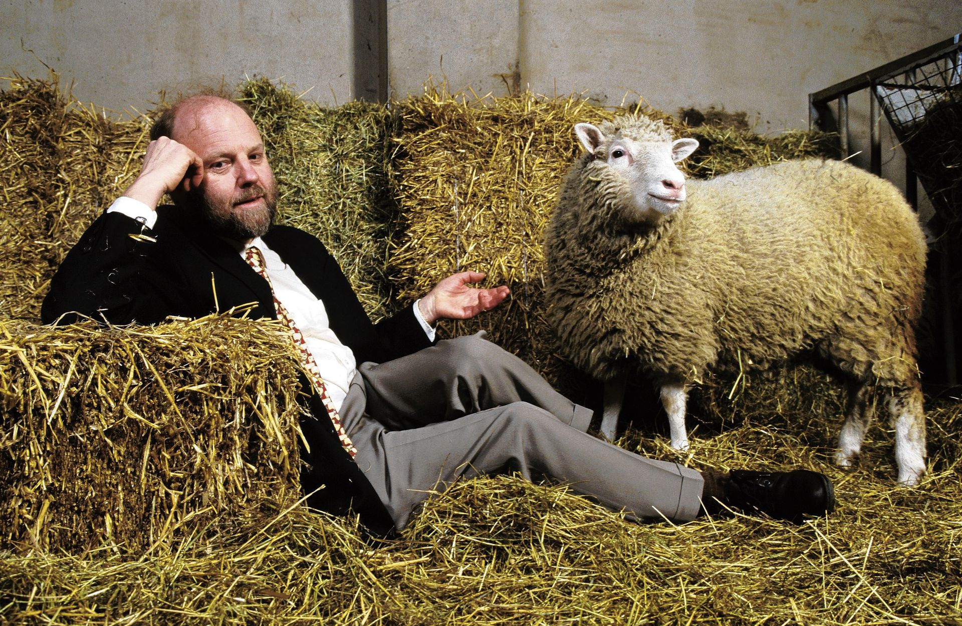 Wereldberoemd met kloonschaap Dolly - NRC