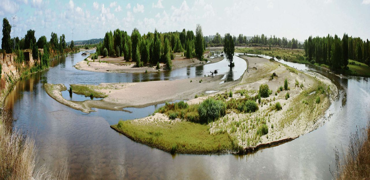 Traag door laagland in het lab - NRC