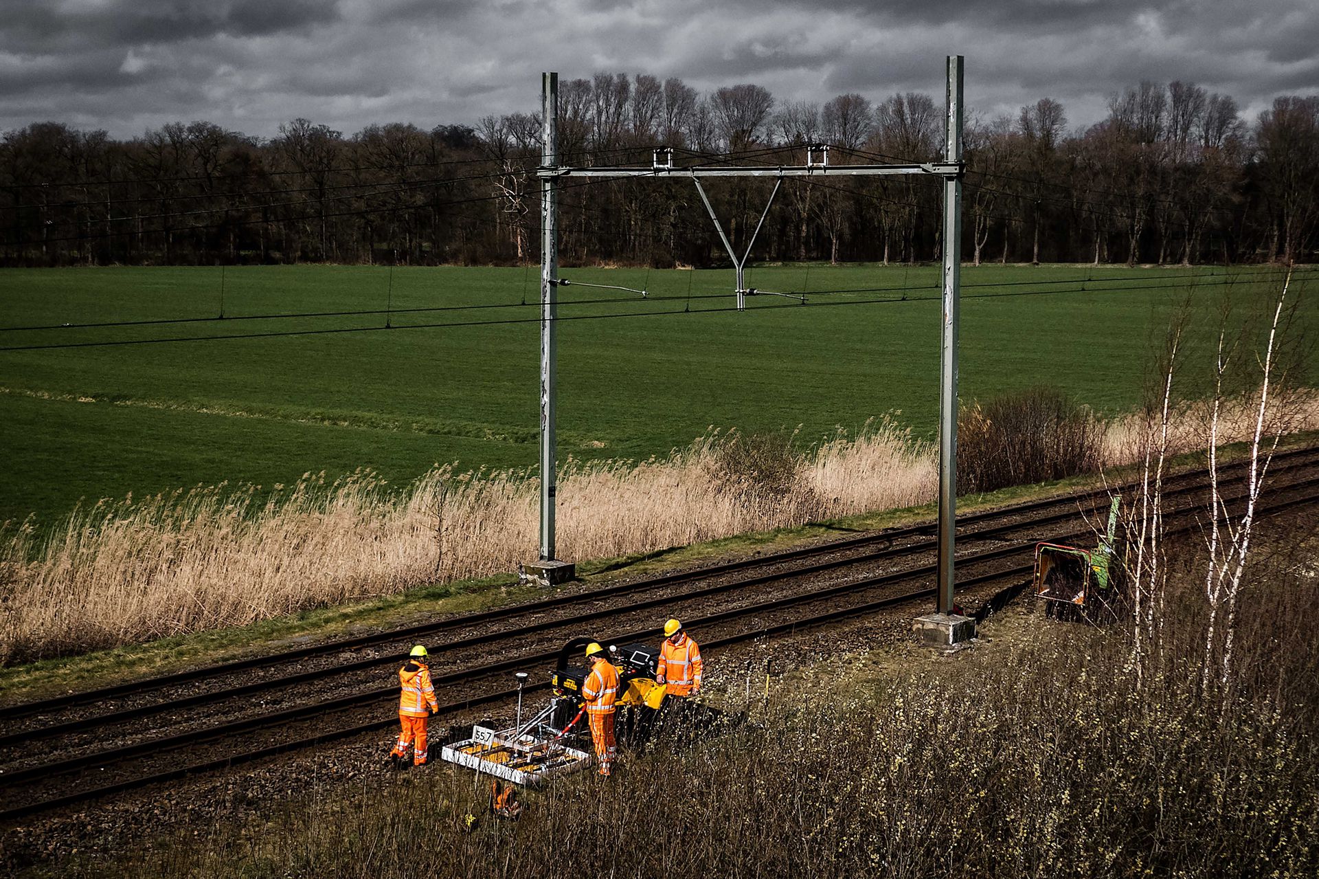 ProRail: dassenburcht onder spoor in Esch weggehaald – begonnen aan die ...
