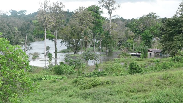 Overstromingen teisteren het binnenland van Suriname - NRC