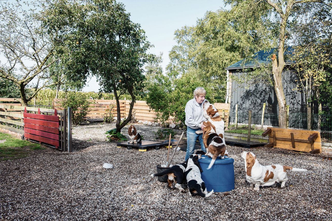 ‘Als ik een nest heb, is het wel even druk’ - NRC