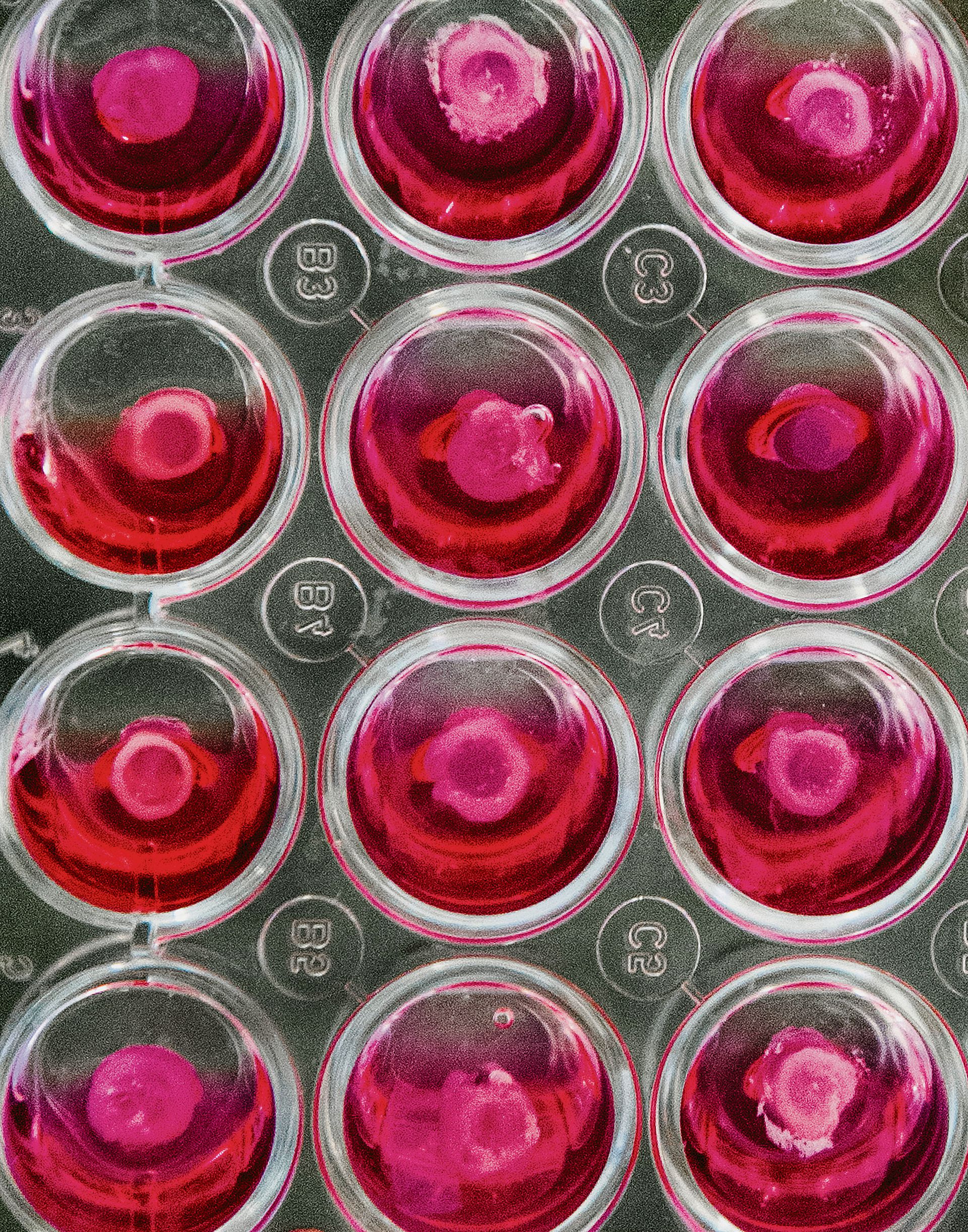 Tassen en ijsjes komen straks uit het kweekbakje - NRC