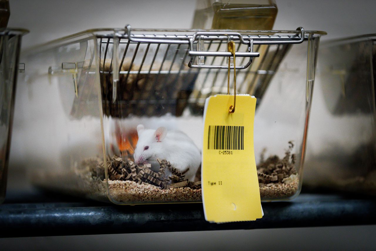 Opinie | Proefdieren hebben recht op een pensioen - NRC