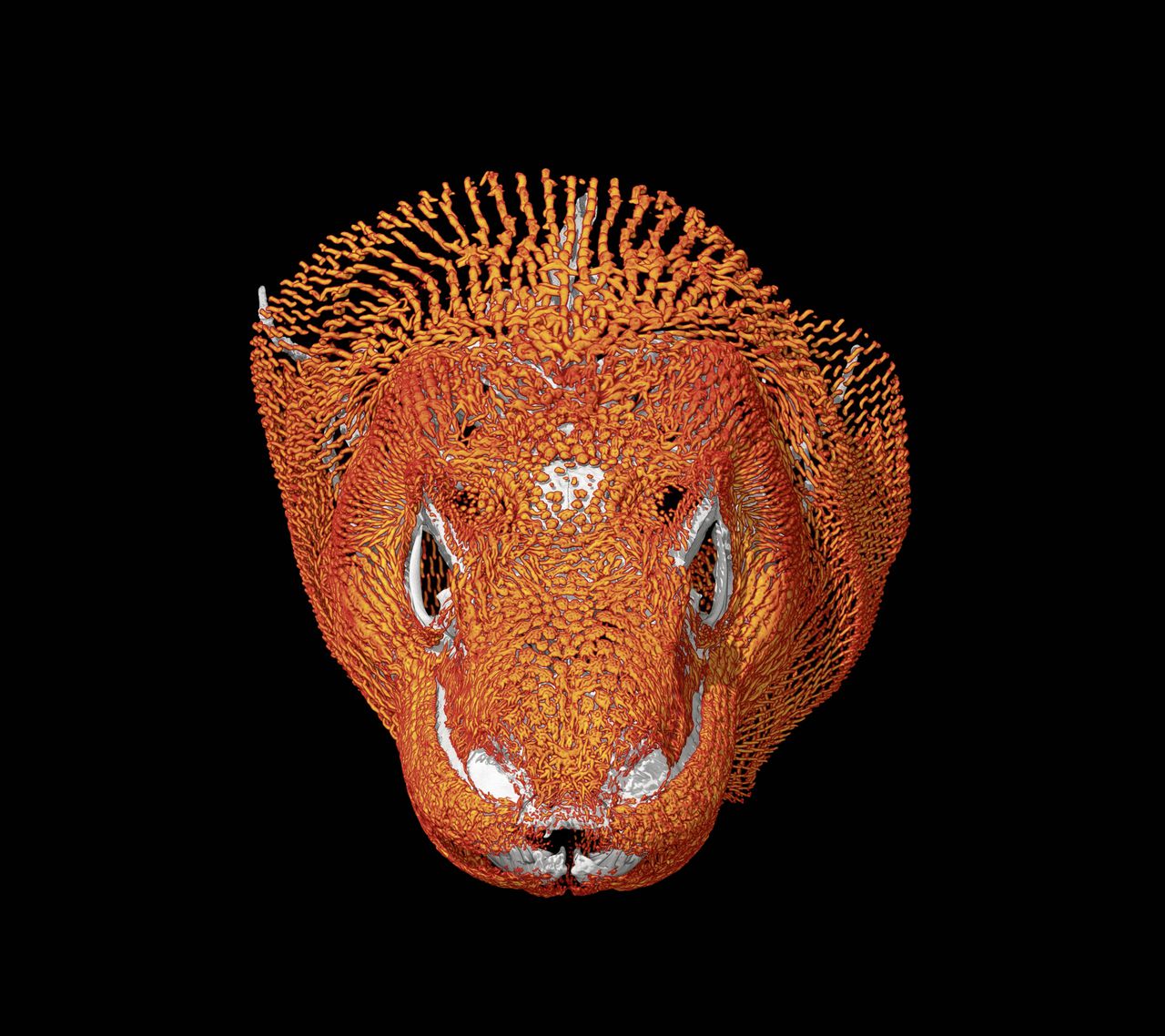 Het harnas van de komodovaraan - NRC